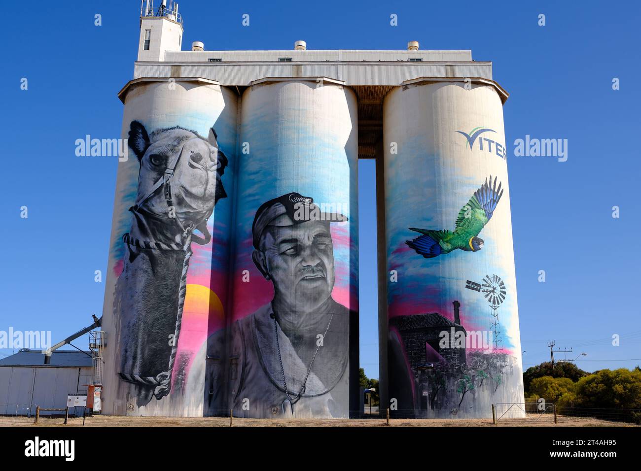 Grain Silo that has been painted by Austin Nitsua in Cowell on the Eyre ...