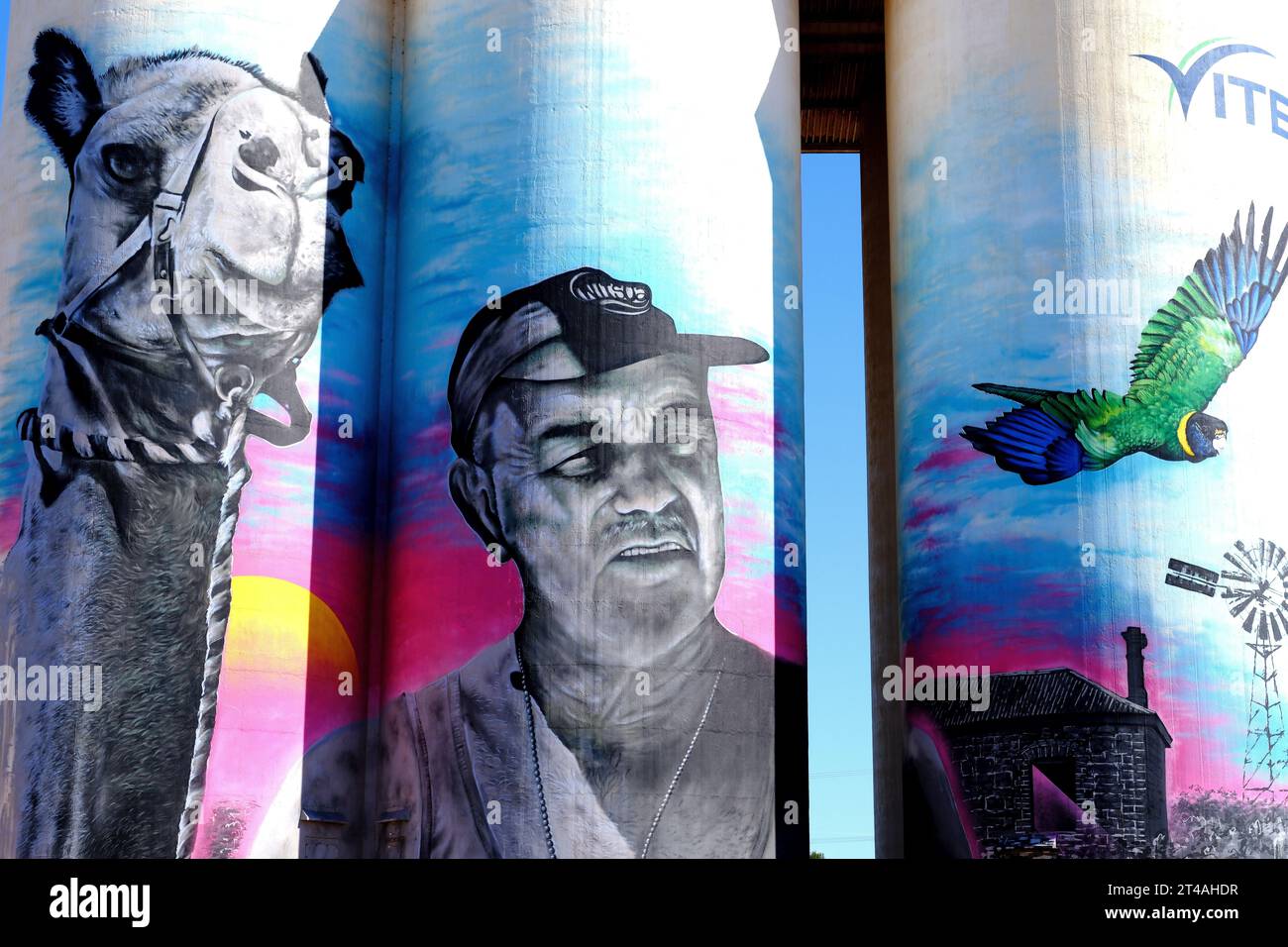 Grain Silo that has been painted by Austin Nitsua in Cowell on the Eyre ...