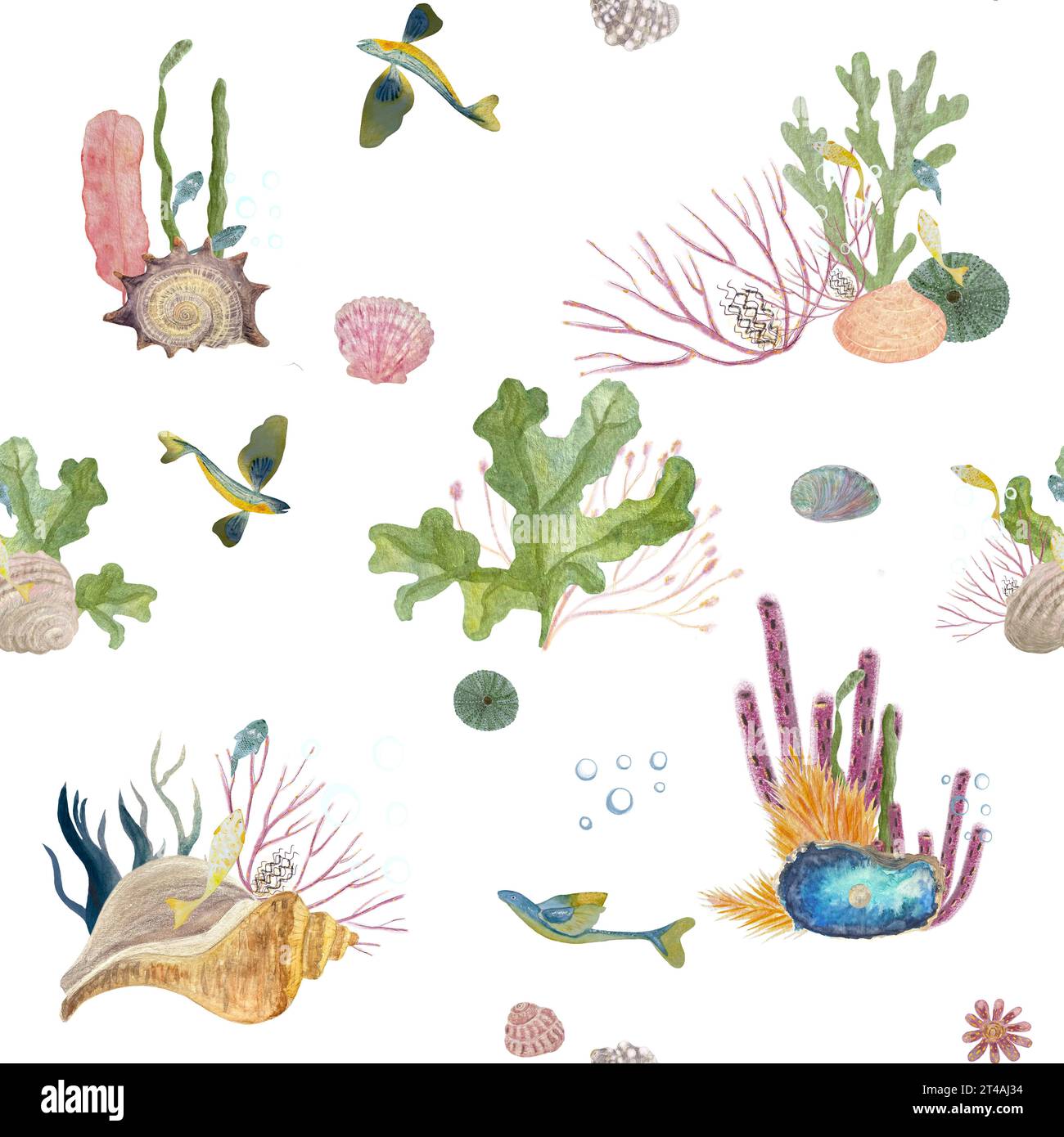 Watercolor underwater seamless pattern isolated Stock Photo - Alamy Watercolor underwater seamless pattern isolated Stock Photo - Alamy