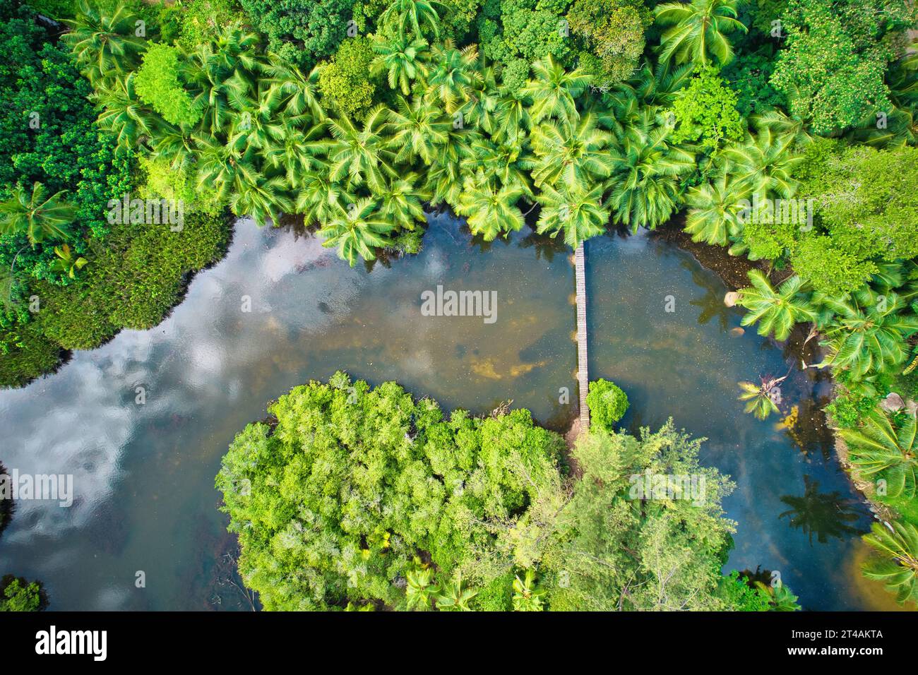 Drone bird eye view at Anse solei beach, bridge over river within ...