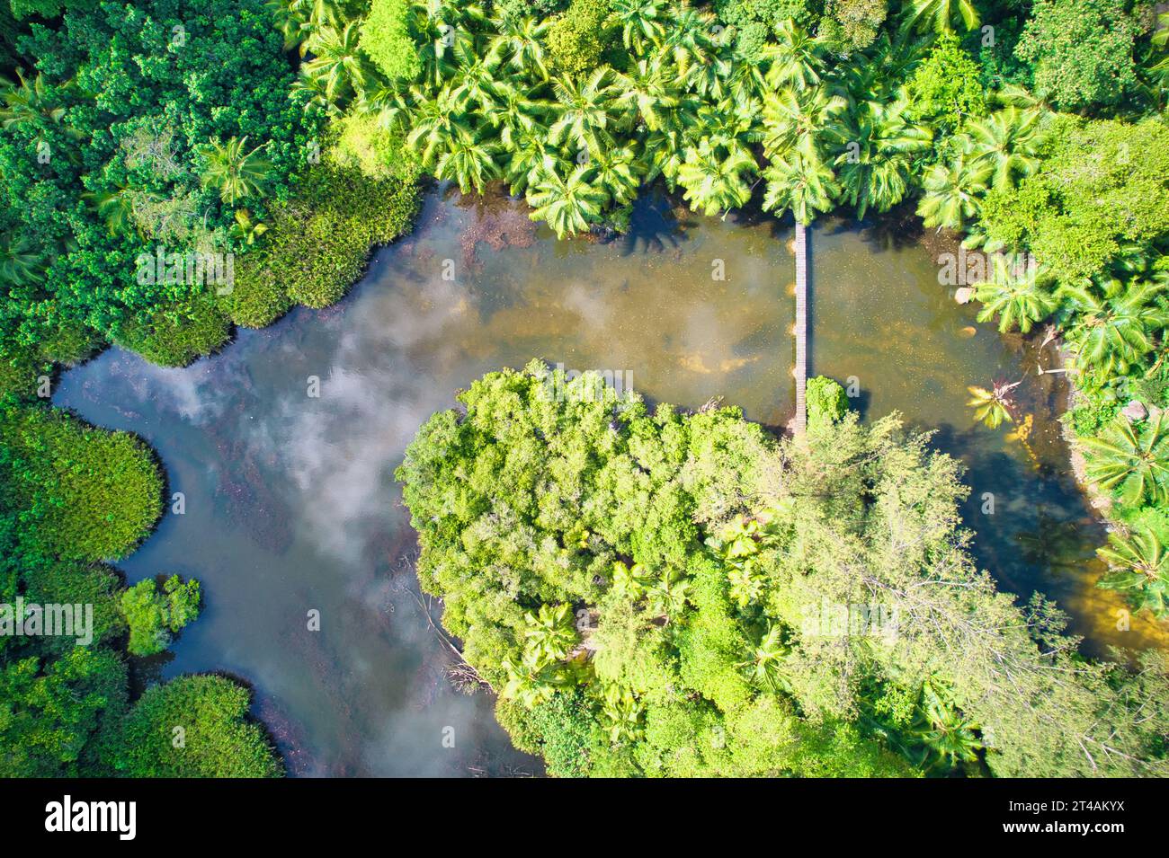Drone bird eye view at Anse solei beach, bridge over river within ...