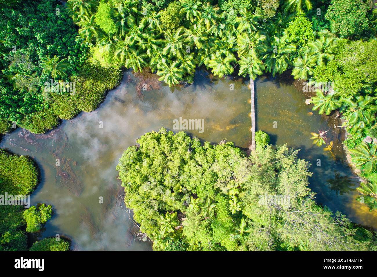 Drone bird eye view at Anse solei beach, bridge over river within forest Mahe Seychelles Stock ...