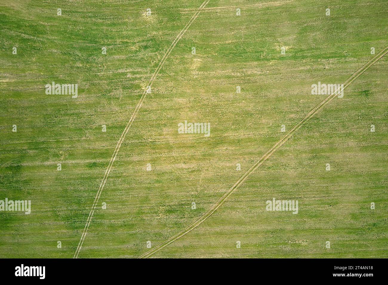 Aerial view of green farm fields in summer season with growing crops ...