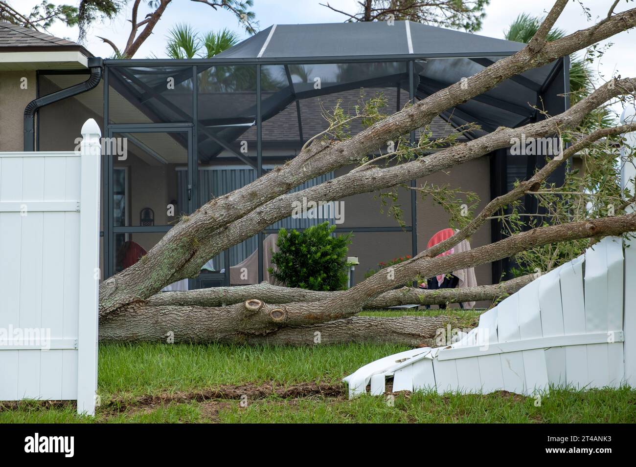Fallen down big tree caused damage of yard picket fence after hurricane ...