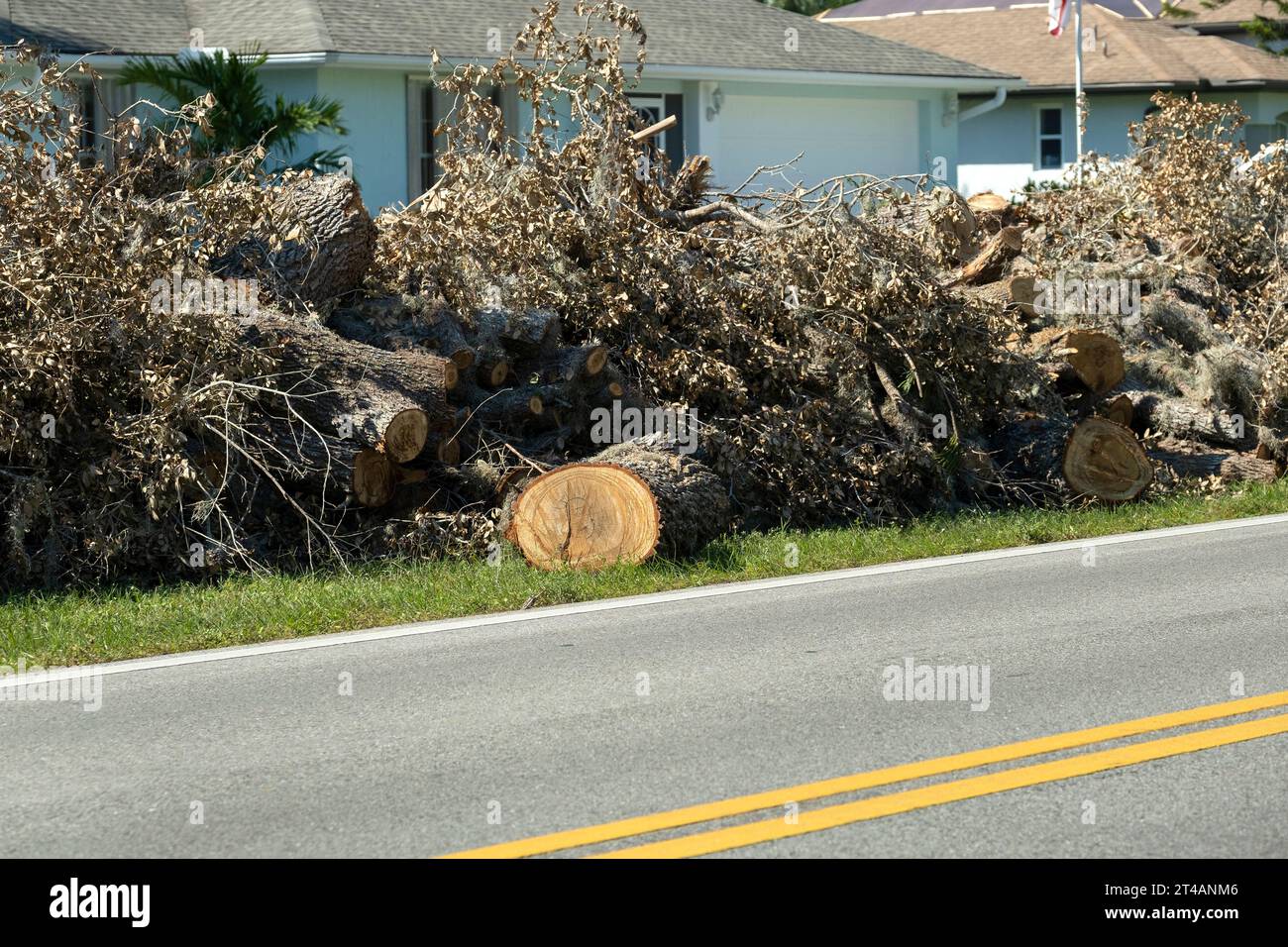 Heaps of limbs and branches debris from hurricane winds on street side ...