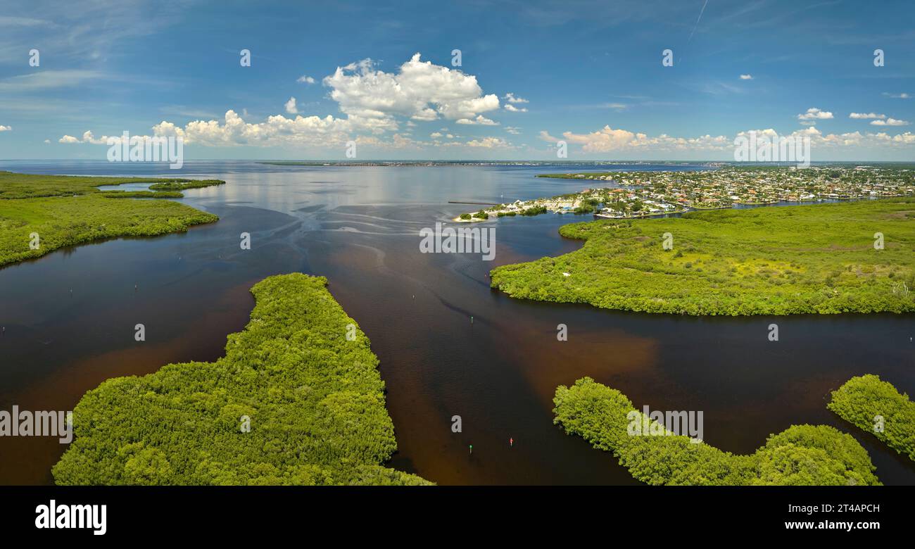 View from above of Florida everglades with green vegetation between ...