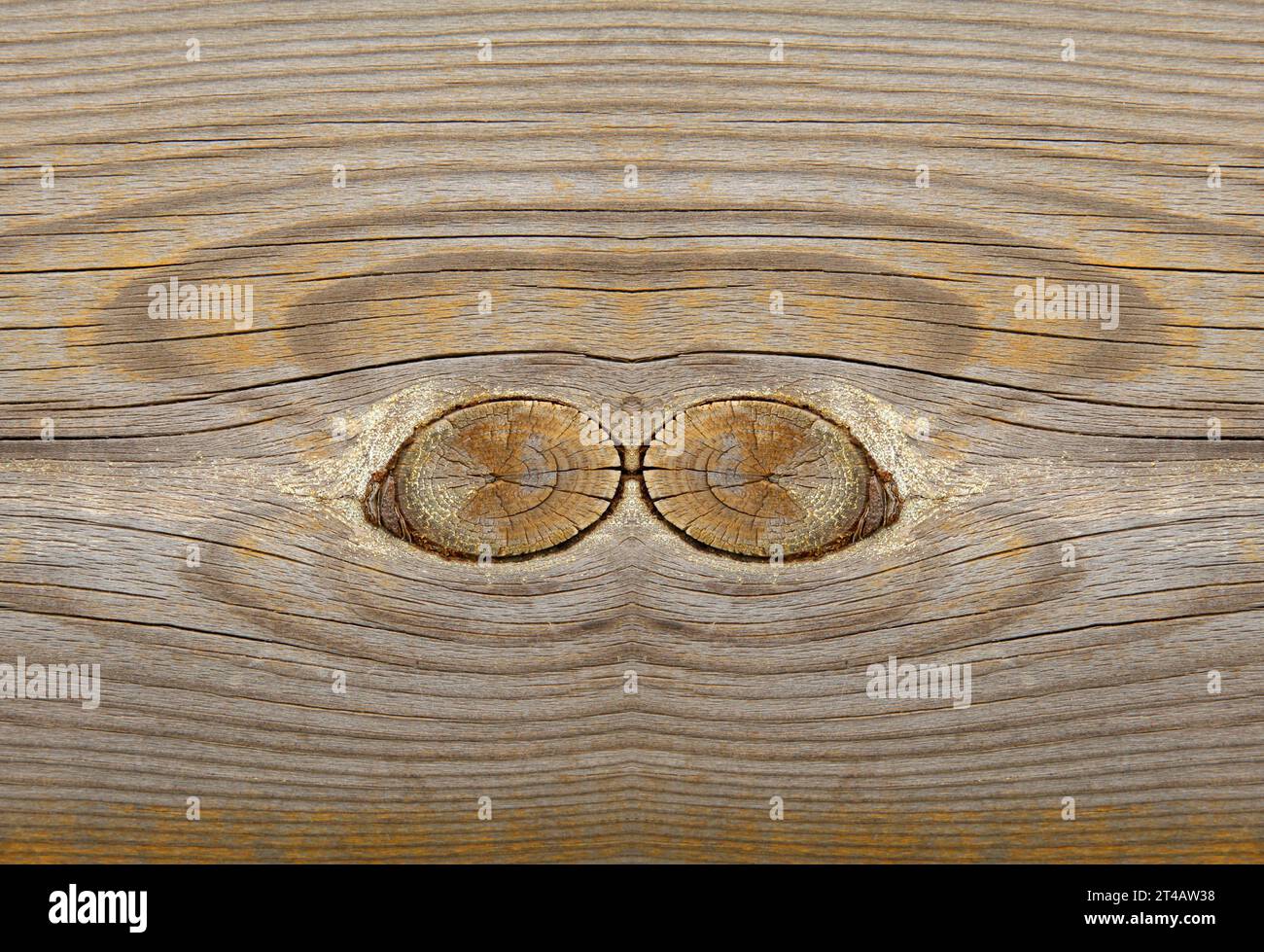 Wood texture, closeup of photo Stock Photo - Alamy