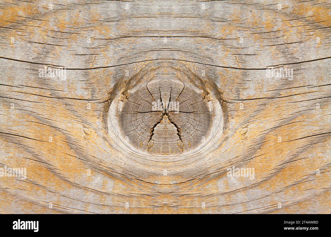 Wood texture, closeup of photo Stock Photo - Alamy