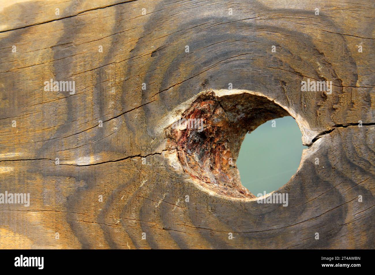 Wood texture, closeup of photo Stock Photo - Alamy