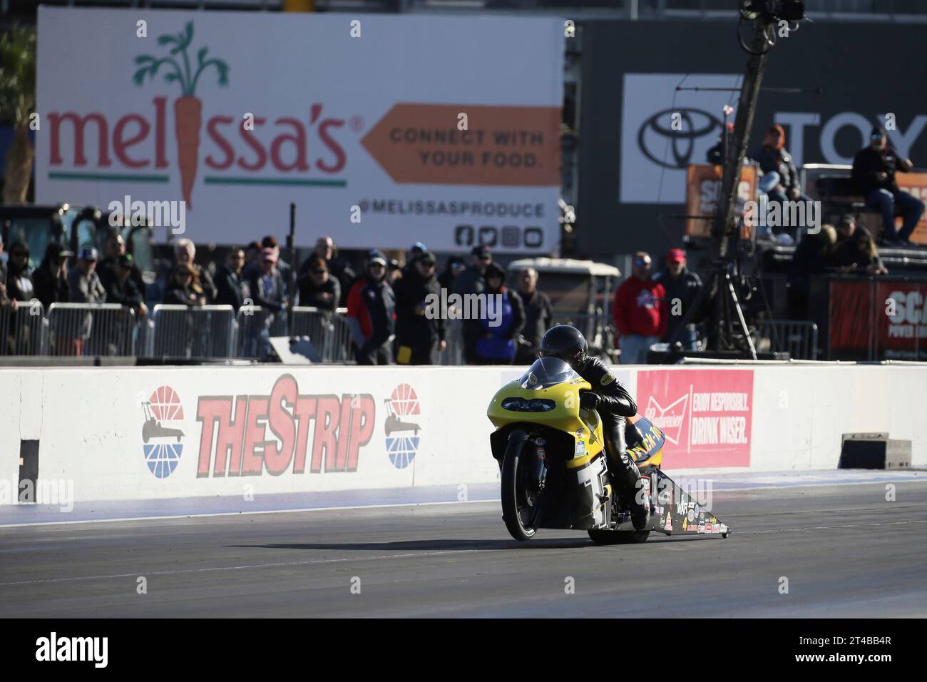 LAS VEGAS, NV - OCTOBER 29: Jerry Savoie (4 PSM) NHRA Pro Stock ...
