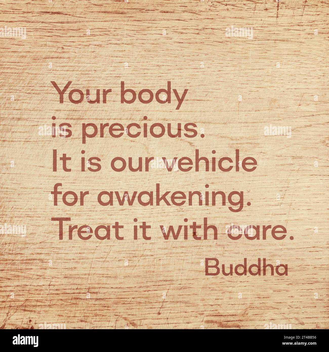 Your body is precious. It is our vehicle for awakening - famous quote ...
