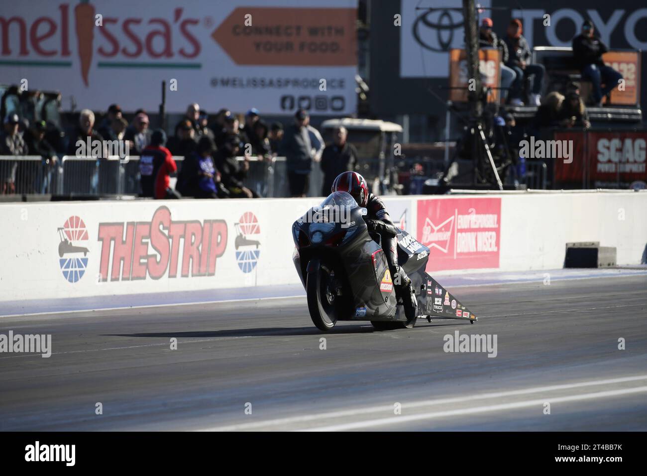 LAS VEGAS, NV - OCTOBER 29: Gaige Herrera (79 PSM) NHRA Pro Stock ...