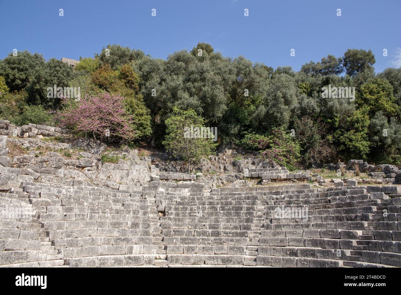 Roman amphitheatre butrint albania hi-res stock photography and images ...