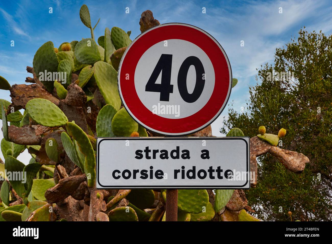 40, Road sign, Cactus, Pantelleria, Pelagic Islands, Sicily, Italy ...