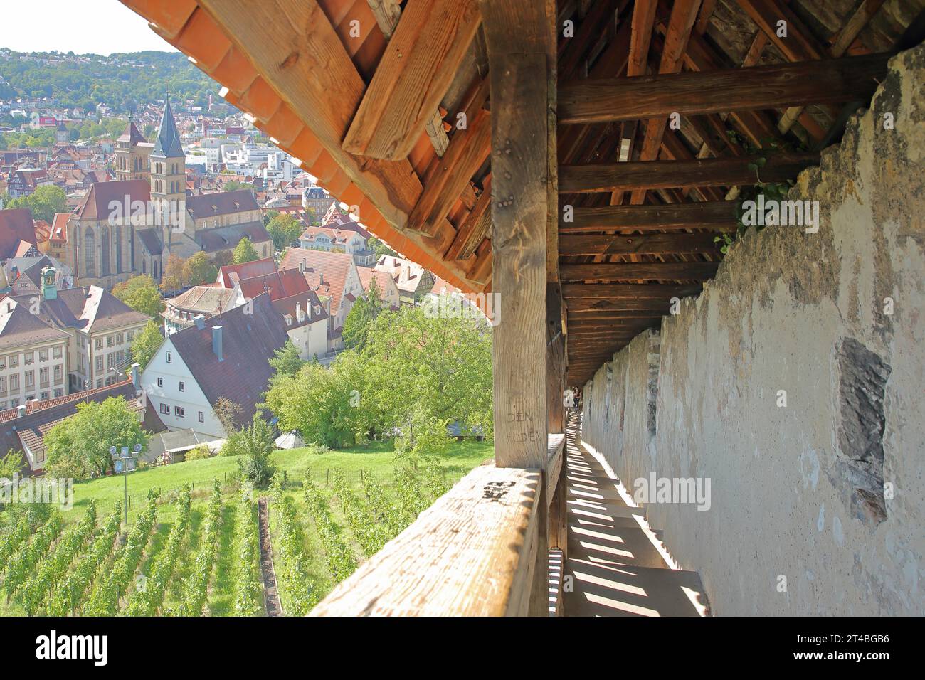 Castle steps and townscape with Gothic town church, staircase, landmark ...