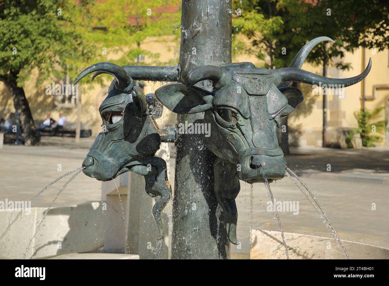 Bull heads hi-res stock photography and images - Alamy