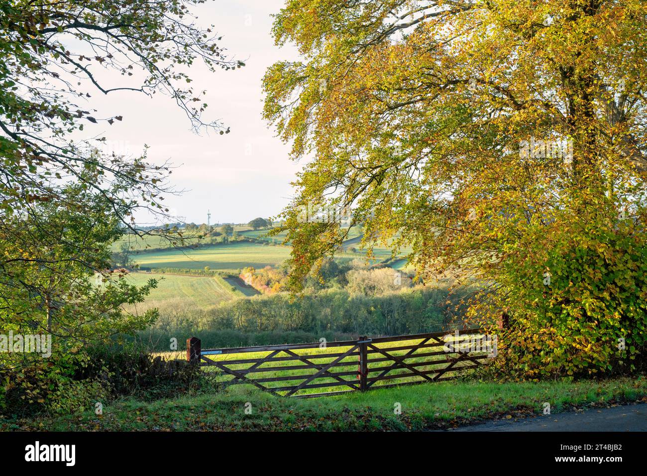 Farm gates hi-res stock photography and images - Alamy