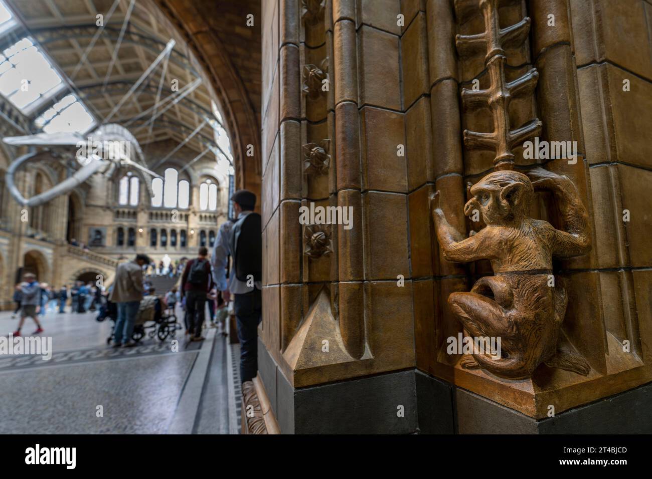 Monkey Cult, Entrance Hall, Natural History Museum or Museum of Natural ...