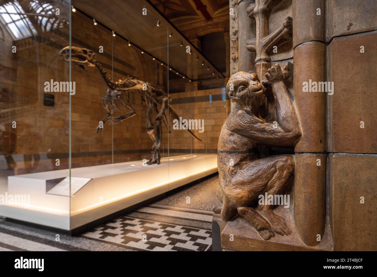 Monkey Cult Track and Dinosaur Skeleton, Entrance Hall, Natural History ...