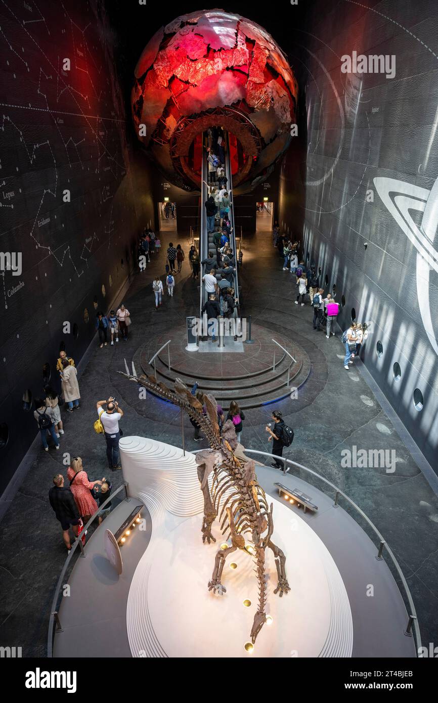 Skeleton of a Stegosaurus dinosaur, Earth Hall, Natural History Museum ...