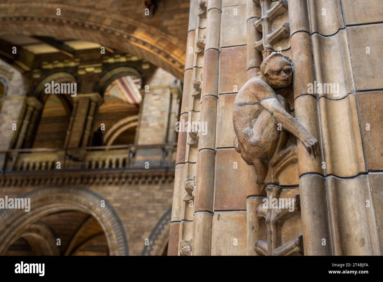 Monkey sculpture, large entrance hall, Natural History Museum or ...