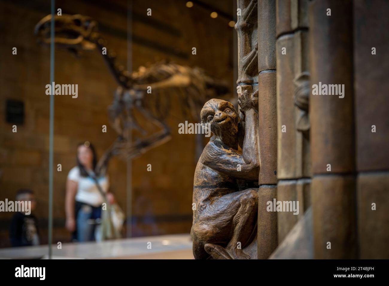 Monkey sculpture and dinosaur skeleton, large entrance hall, Natural ...