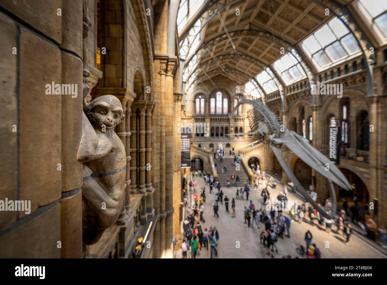 Monkey sculpture, blue whale skeleton, large entrance hall, Natural ...