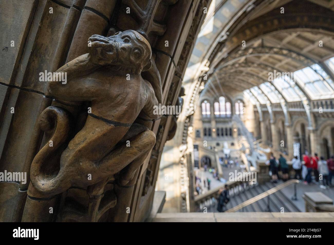 Monkey Sculpture, Entrance Hall, Natural History Museum or Natural ...