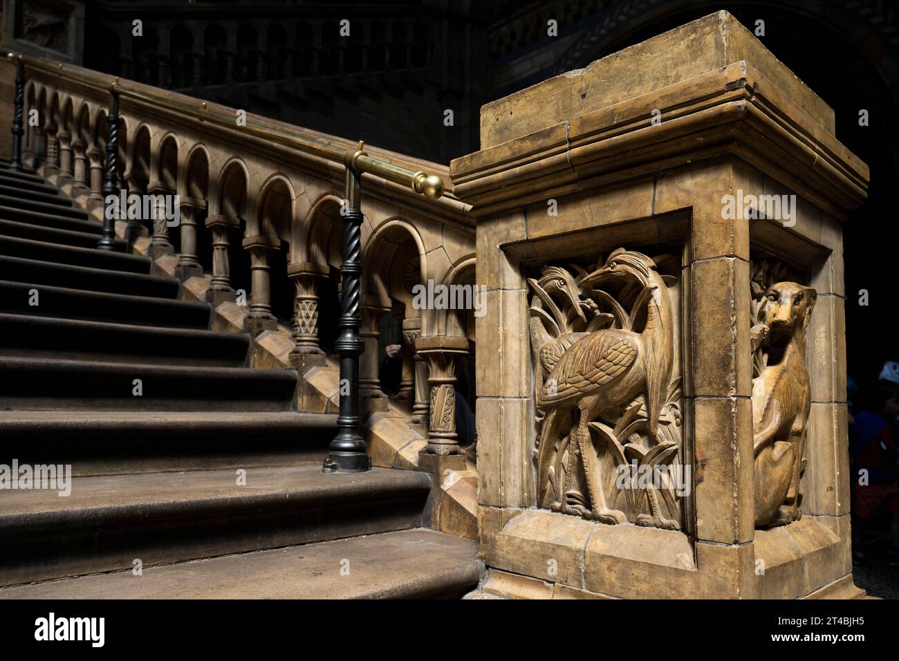 Staircase with animal depictions, large entrance hall, Natural History ...