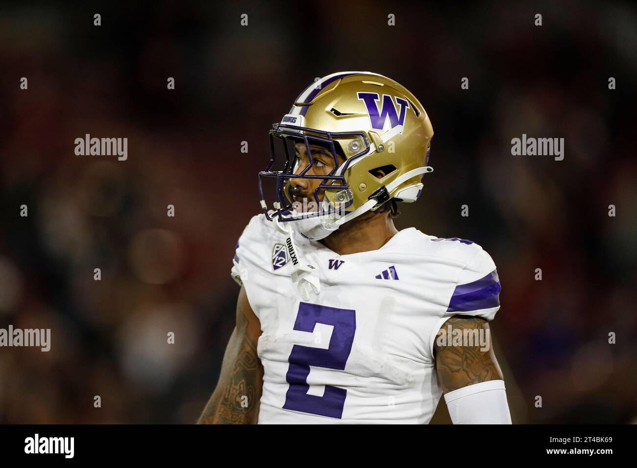 Washington Huskies wide receiver Ja'Lynn Polk (2) looks on during a ...