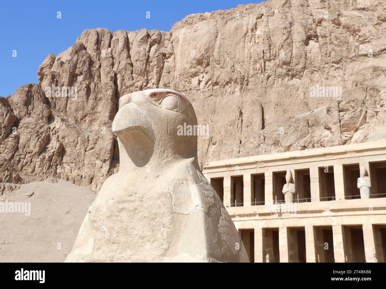 Statue of falcon or Horus statue at entrance of Deir el-Bahari (Deir el ...