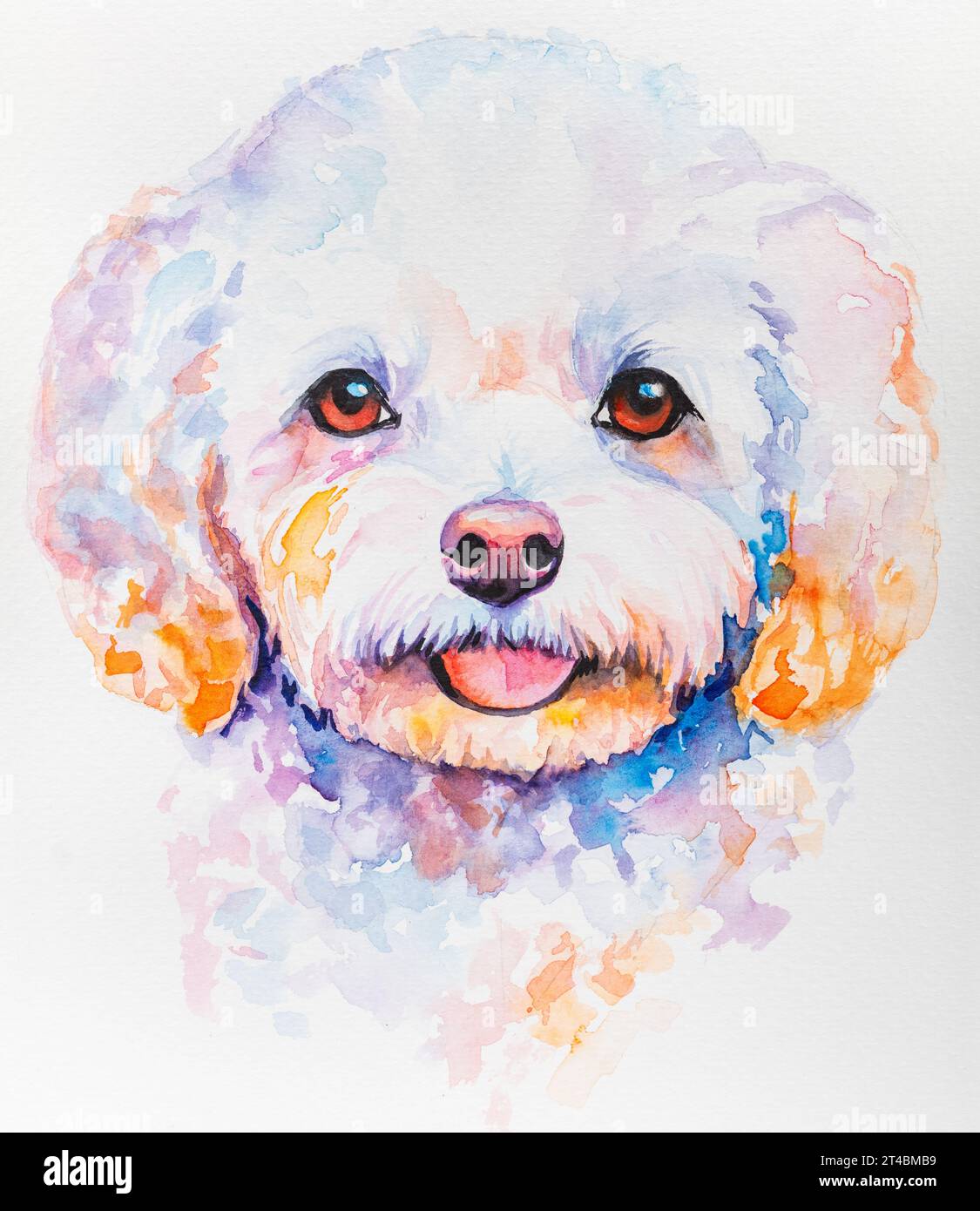 dog painted in watercolor on a white background Stock Photo - Alamy