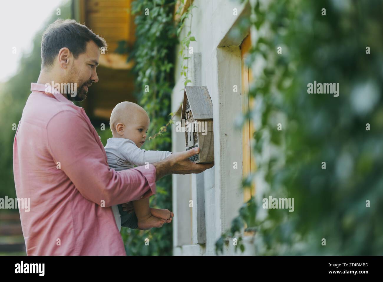 Species of insects hi-res stock photography and images - Alamy