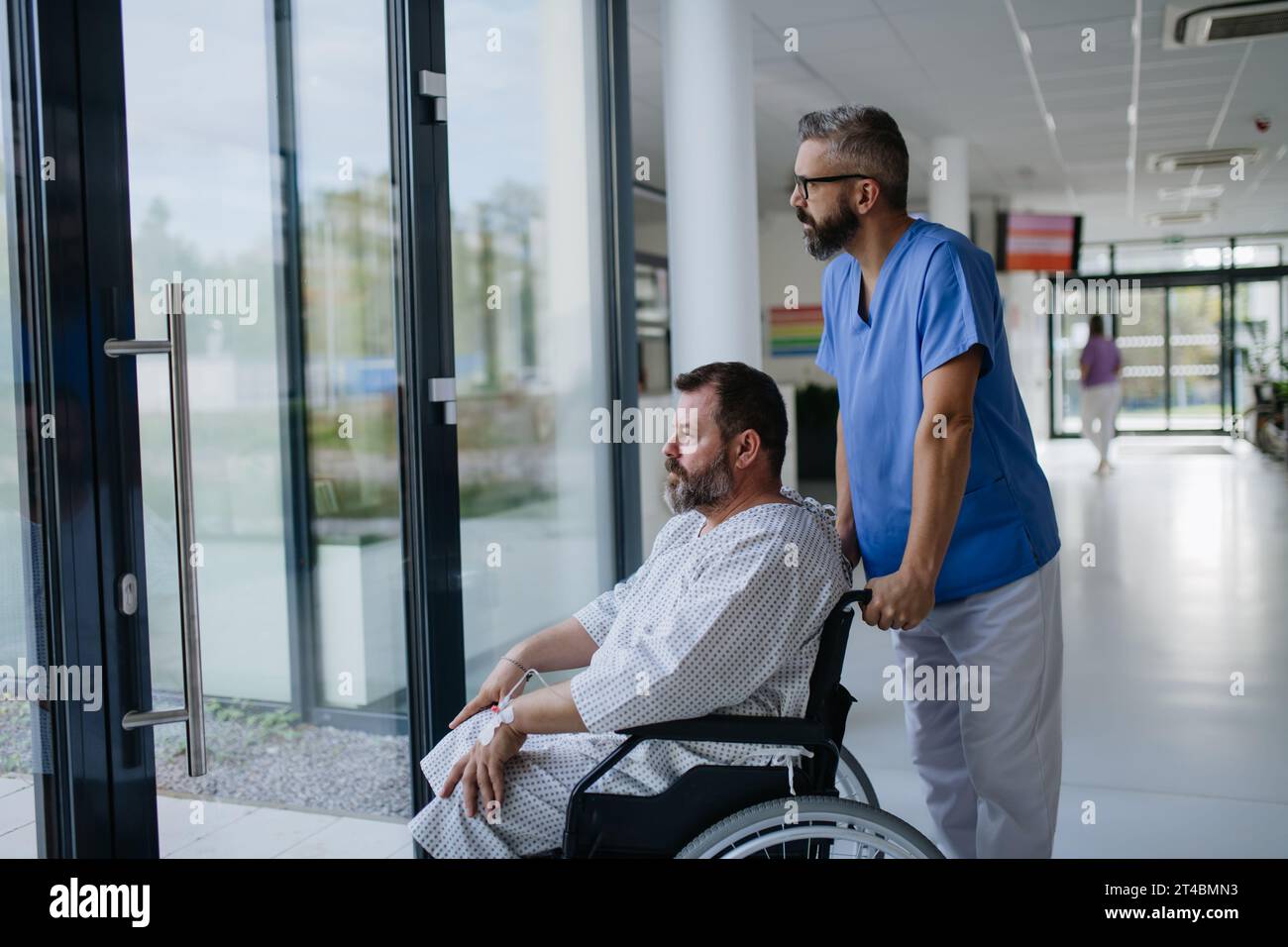Male nurse pushing a patient in a wheelchair along a hospital corridor ...