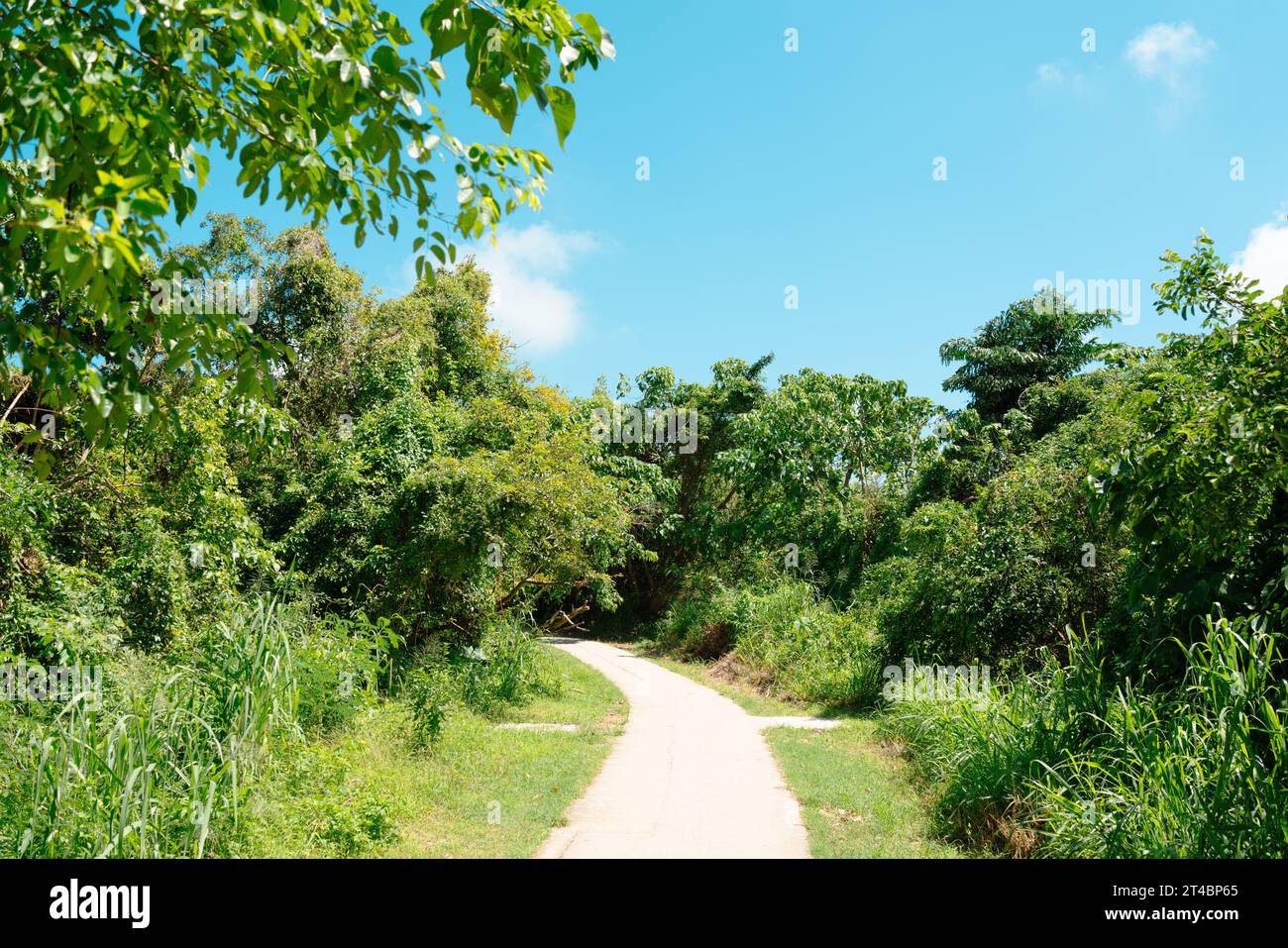 Trekking in hong kong hi-res stock photography and images - Alamy