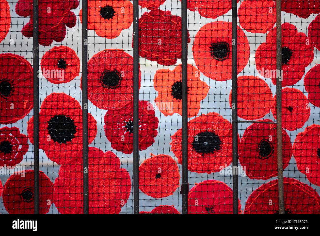 Knitted poppies display outside Wellesbourne Methodist Church ...