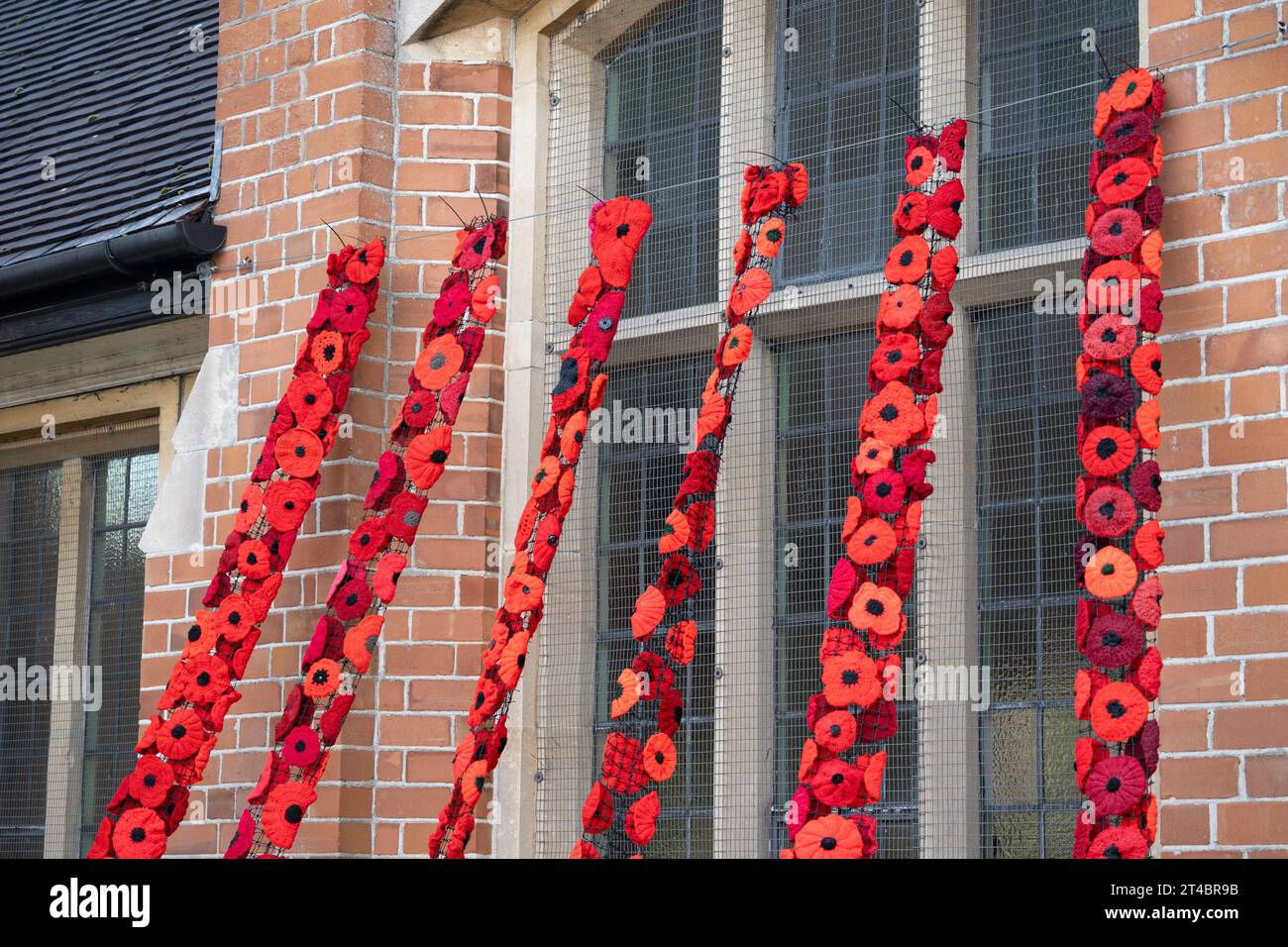 Knitted poppies display outside Wellesbourne Methodist Church ...