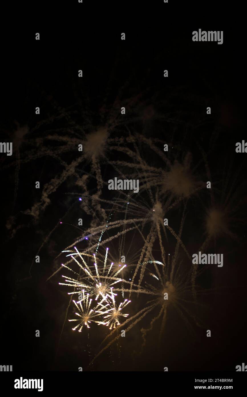 Fireworks in the sky. Fireworks in the Dark. Celebration at Night ...
