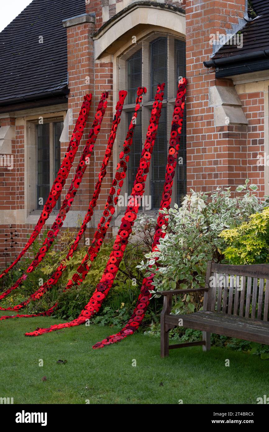 Knitted poppies display outside Wellesbourne Methodist Church ...