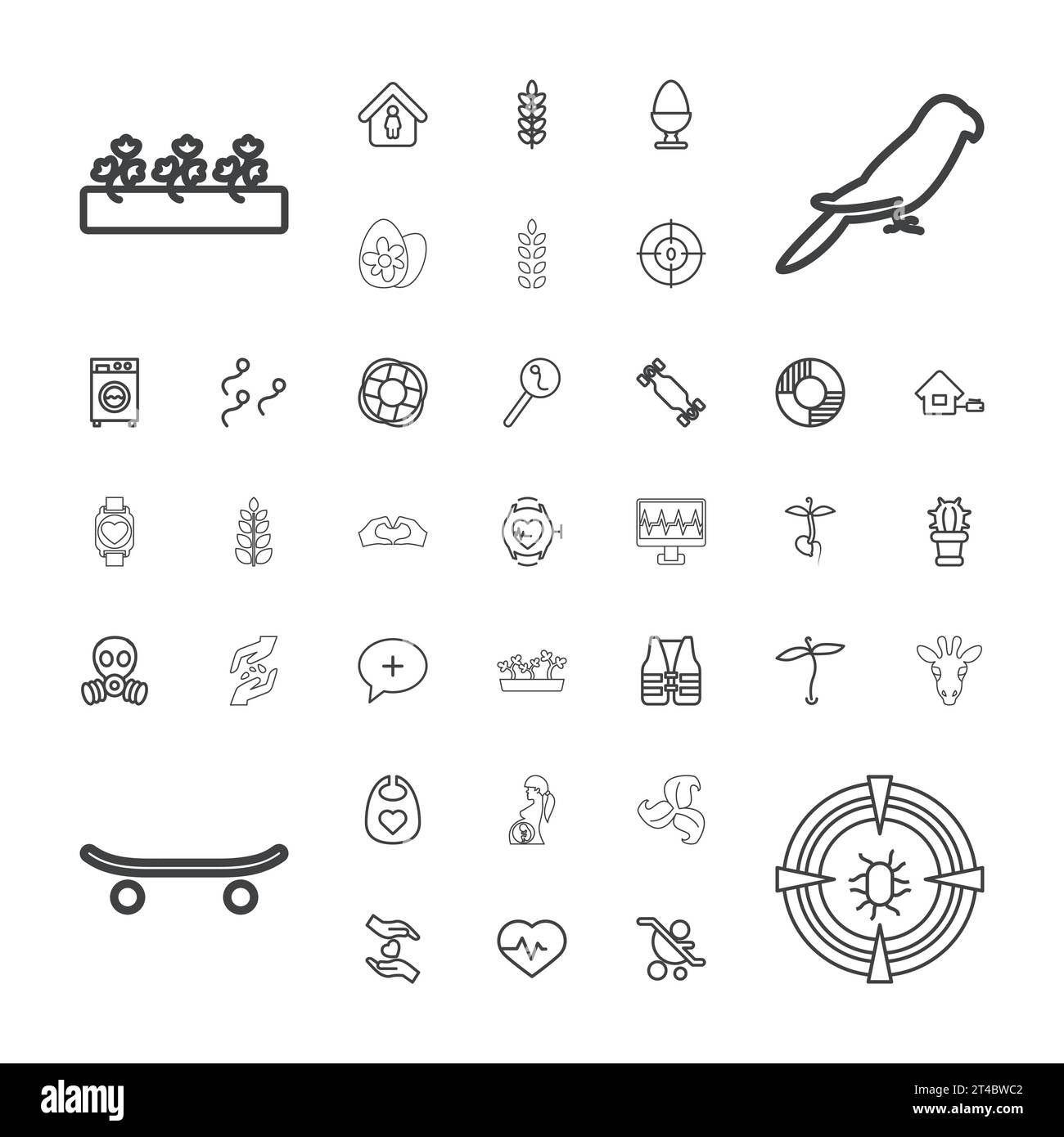 Parrot seeds Stock Vector Images - Alamy