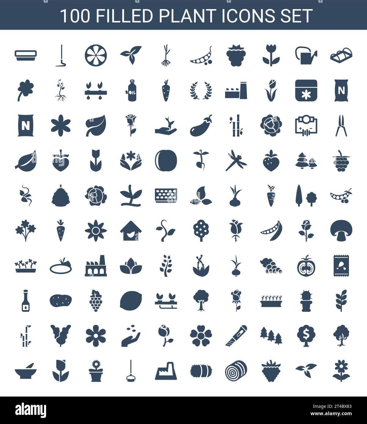 Onion seeds plant Stock Vector Images - Alamy