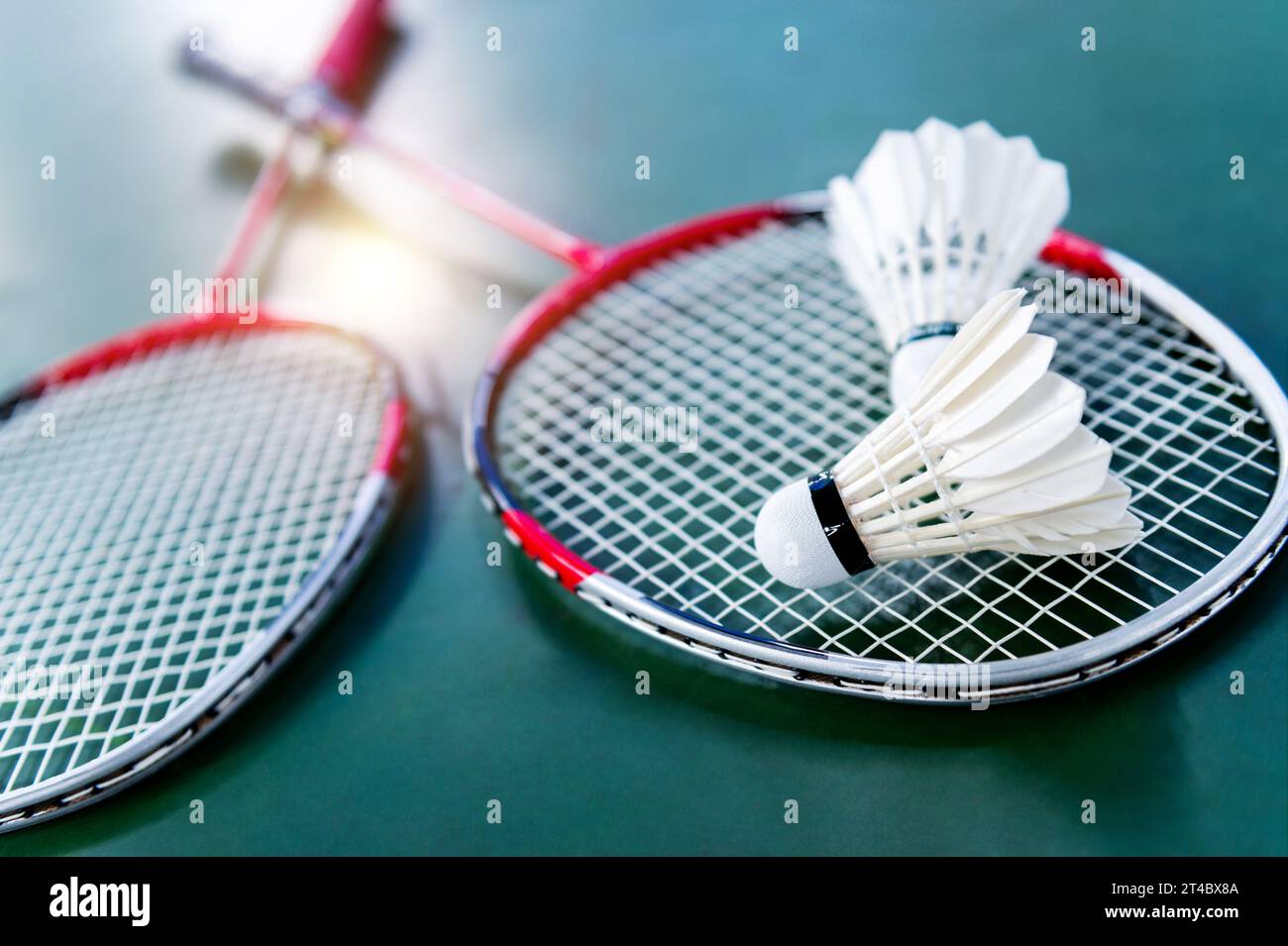 Two shuttlecocks and badminton racket on court floor Stock Photo - Alamy