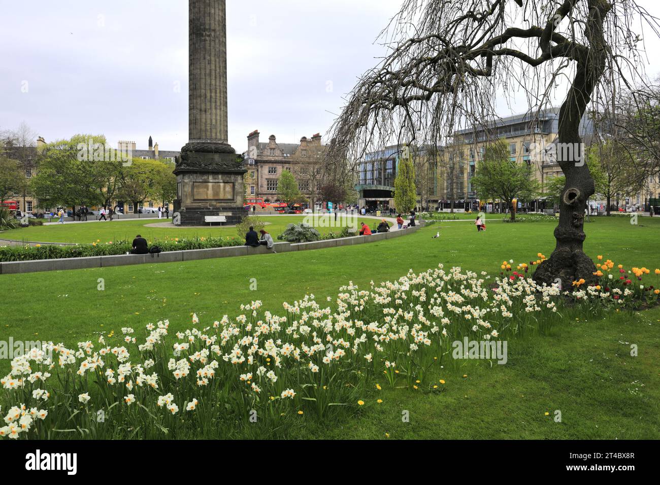 Spring view over St Andrew square gardens, Edinburgh, Scotland, UK ...