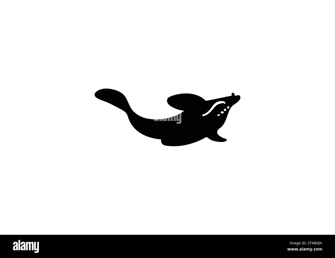 Banjo Shark Drawing