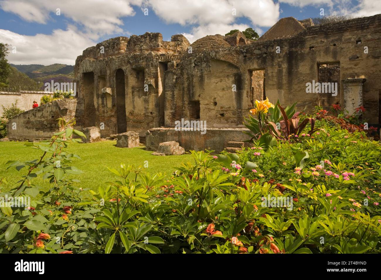 A garden at The ruins of Las Capuchinas convent, Antigua, Guatemala ...