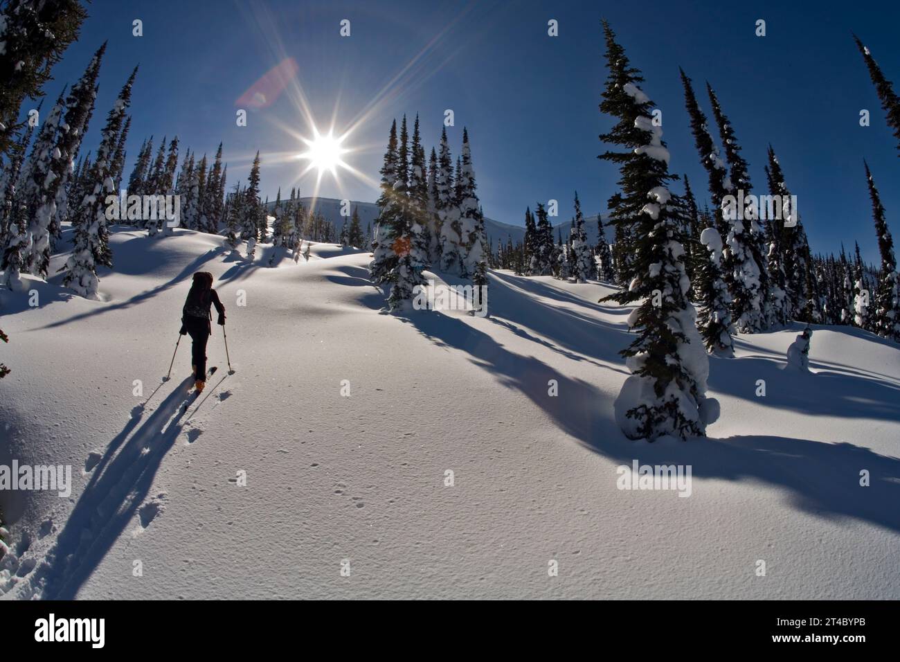 woman ski touring, Valhalla Mountain Touring Lodge, British Columbia ...