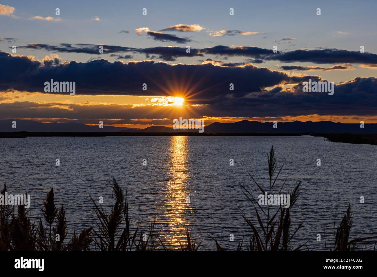 Turpin unit hi-res stock photography and images - Alamy