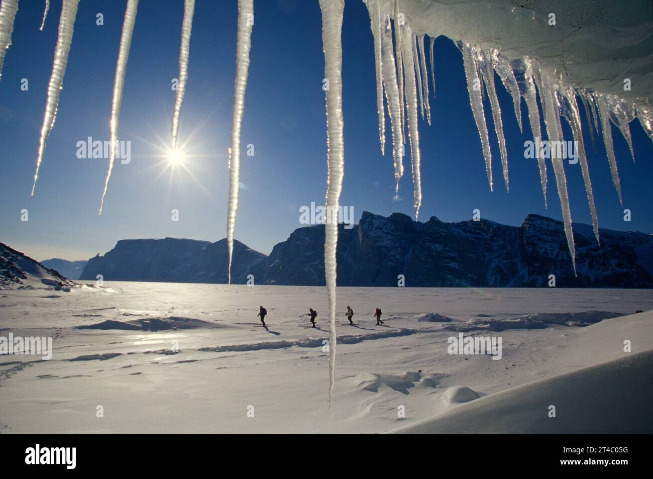 ice cycles and skiers traversing across frozen fjord near Baffin Island ...