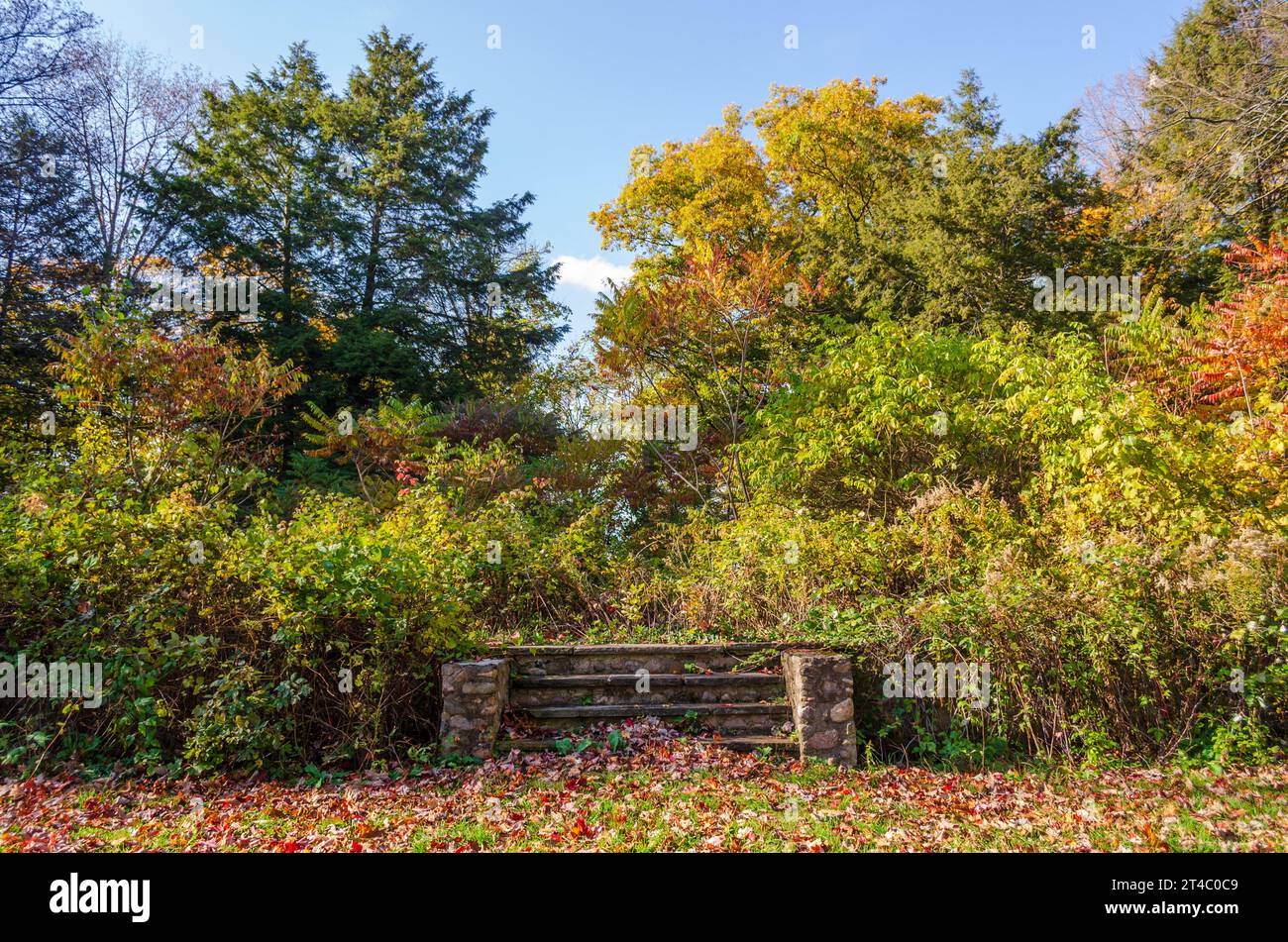 A Hiking Trail at Long Point State Park in New York State Stock Photo ...