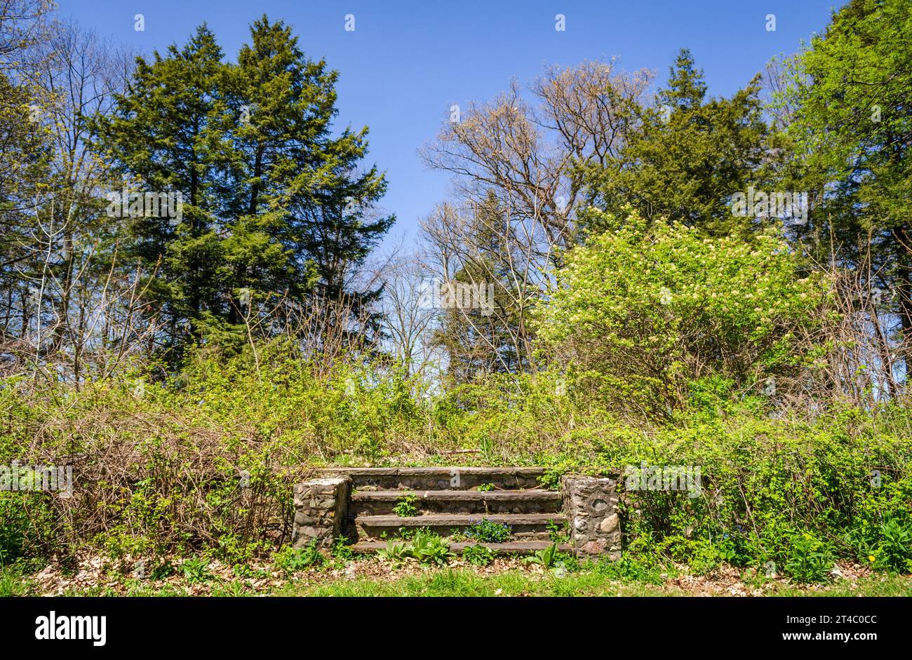 A Hiking Trail at Long Point State Park in New York State Stock Photo ...